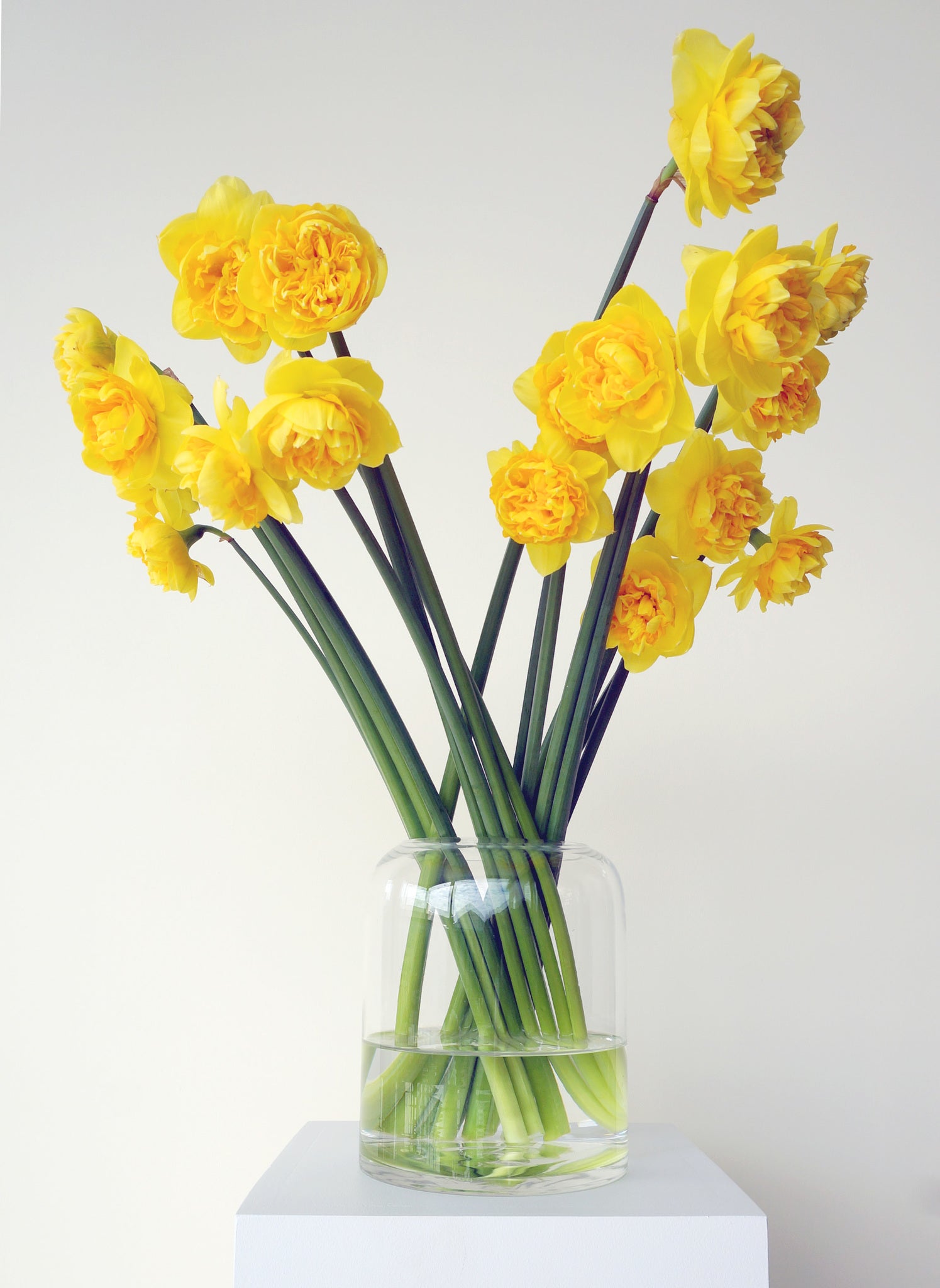 Glass Vase – Roam Studio